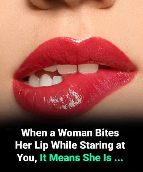 When a Woman Bites Her Lip While Looking at You — What She’s Really ...